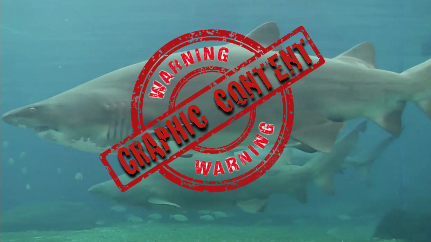 Ground Shark