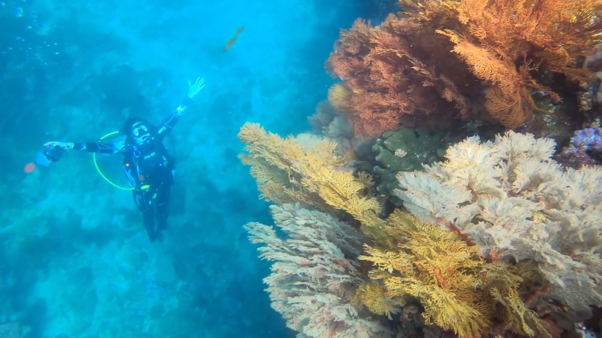 Myanmar Ocean Project | LinkedIn