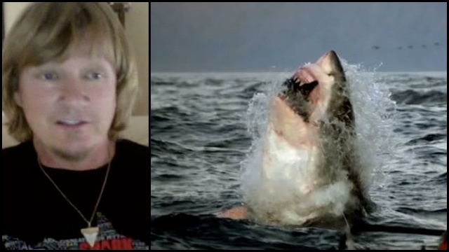 Colossus Great White Shark